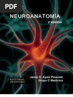 Snell. Neuroanatomía Clínica - 6ta Edición | PDF