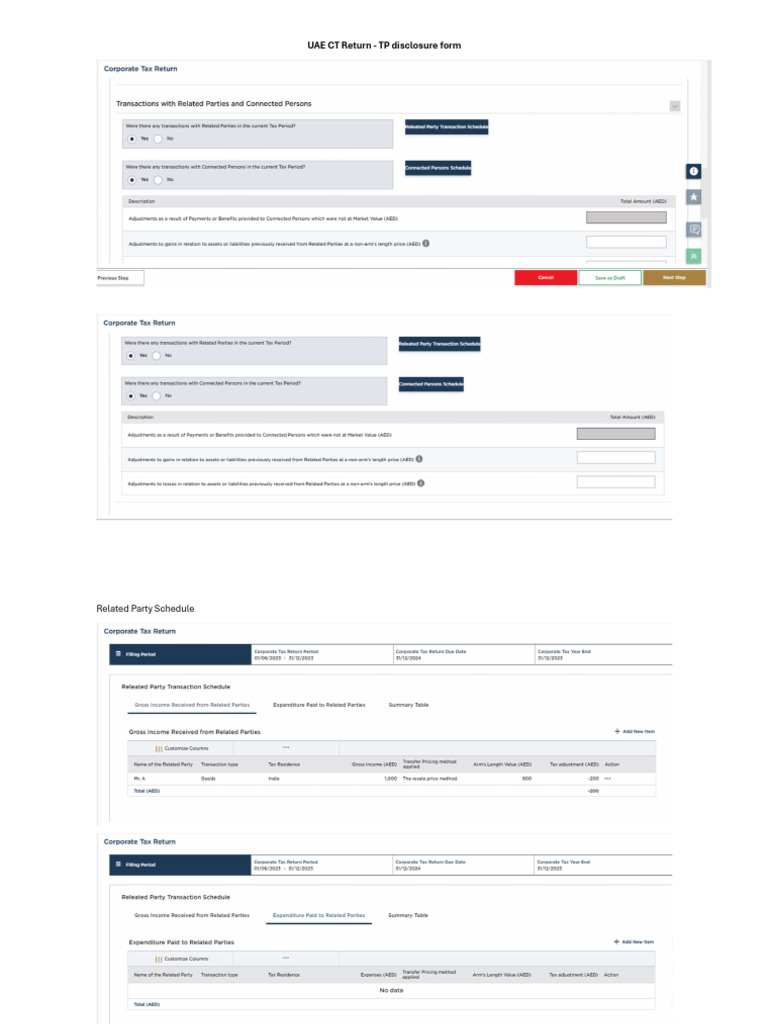 UAE TP Disclosure Form FTA | PDF