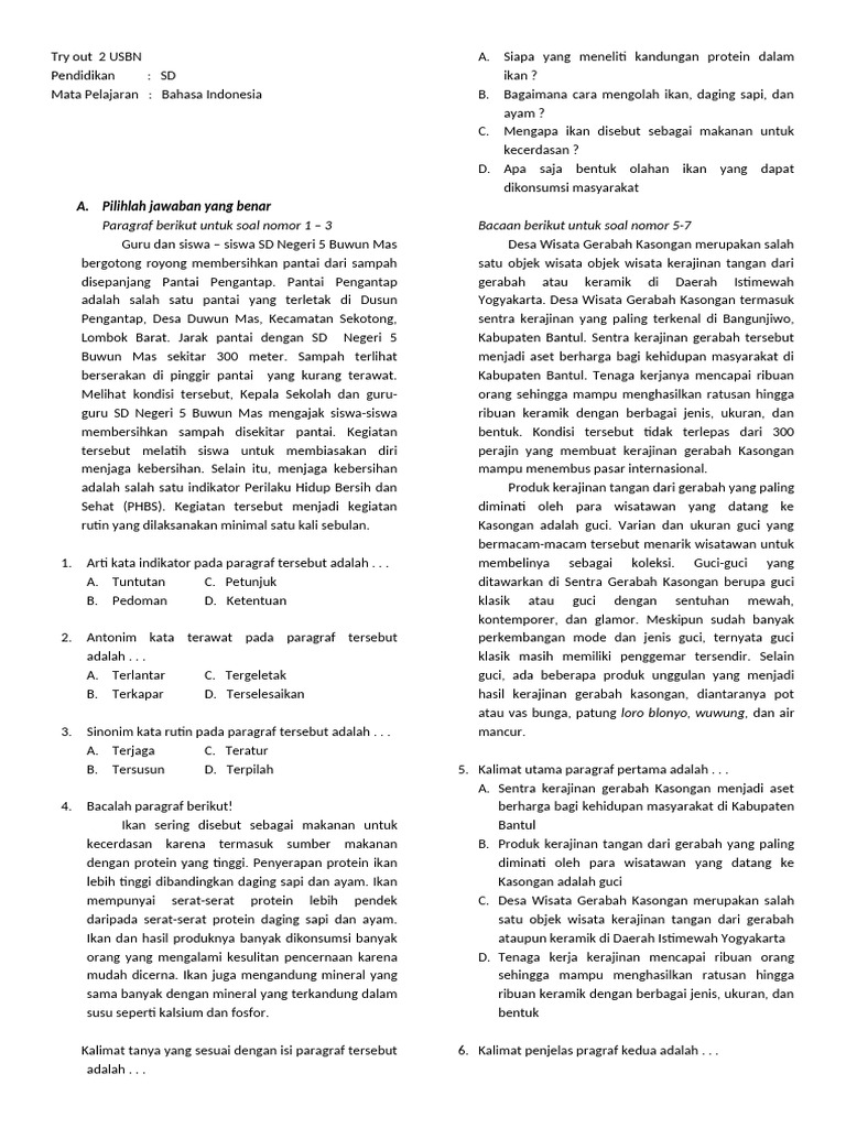 Try Out 2 USBN 6SD B.INDO | PDF