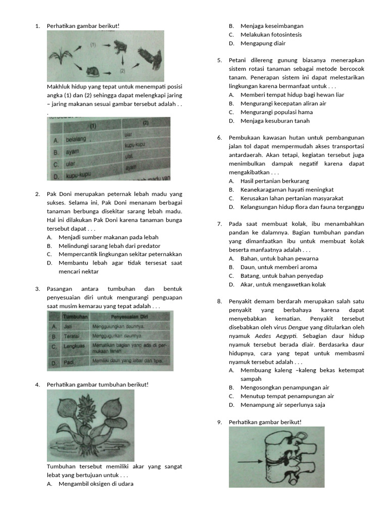 Try Out 2 USBN 6SD IPA | PDF