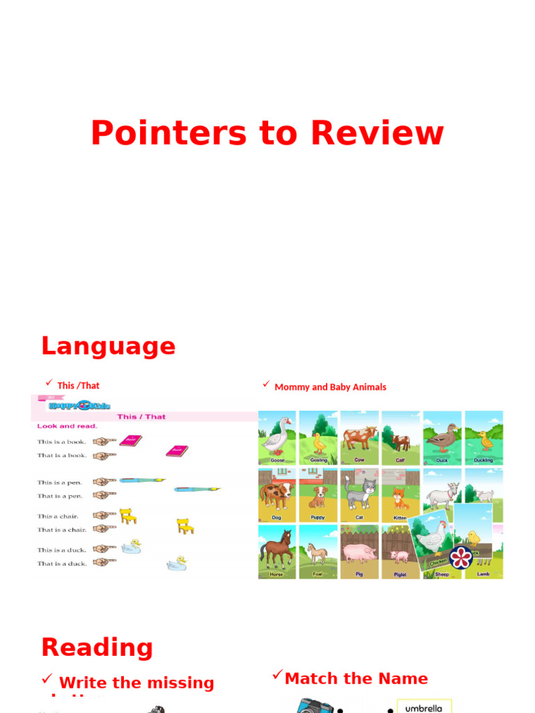 Pointers To Review For 3rd Quarter | PDF