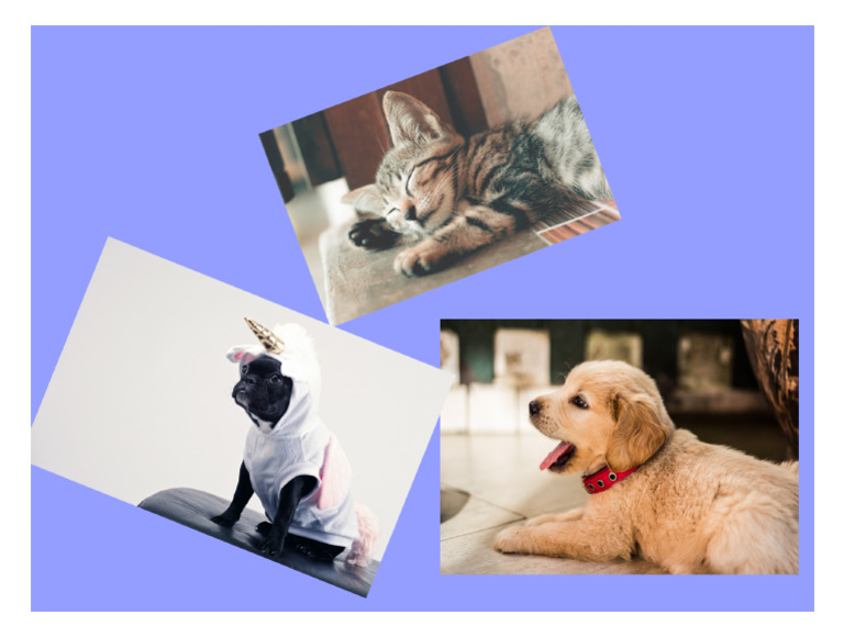 Pet Postcard | PDF