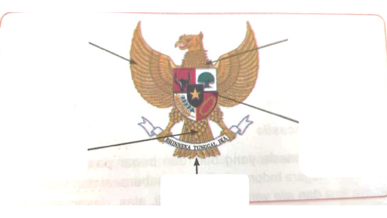 Garuda | PDF