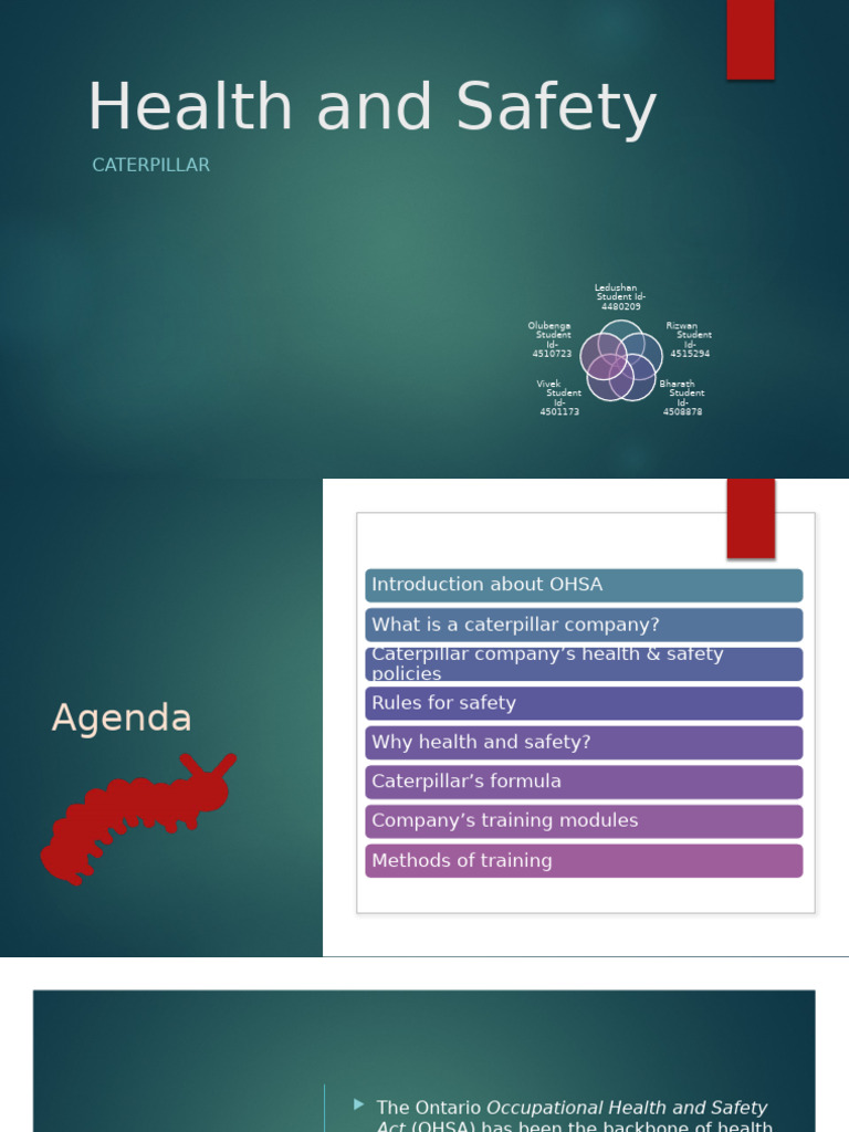 Health and safety ppt Complete | PDF | Occupational Safety And Health ...