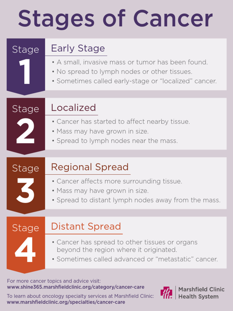 000 - Stages of Cancer 1 | PDF | Metastasis | Cancer