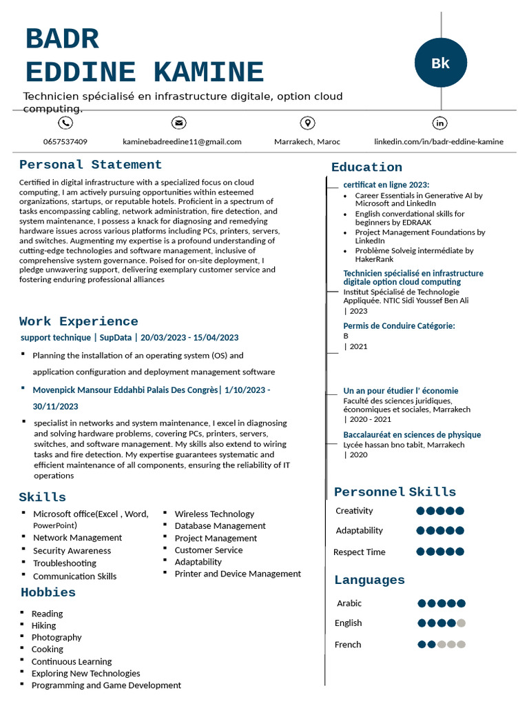 What A CV Should Look Like Example Template | PDF | Computing ...