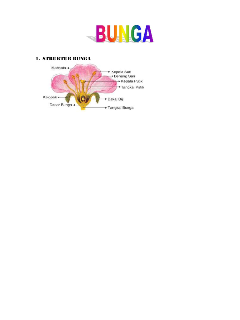 Struktut Bunga | PDF