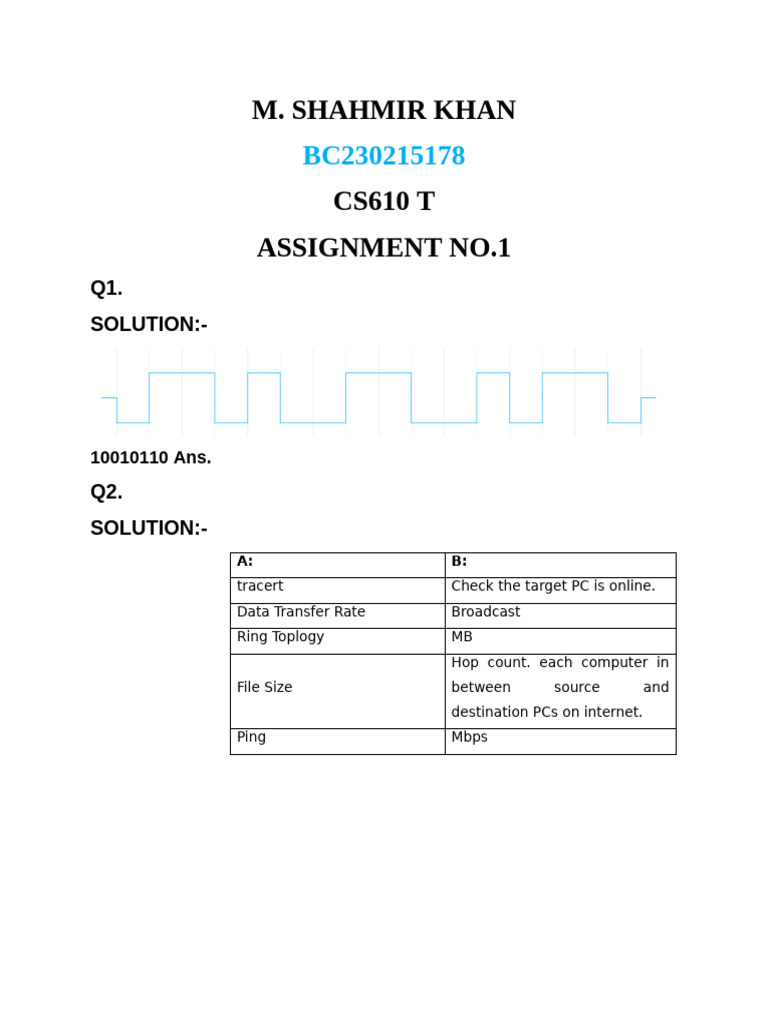 CS610 Assignment Solutions | PDF