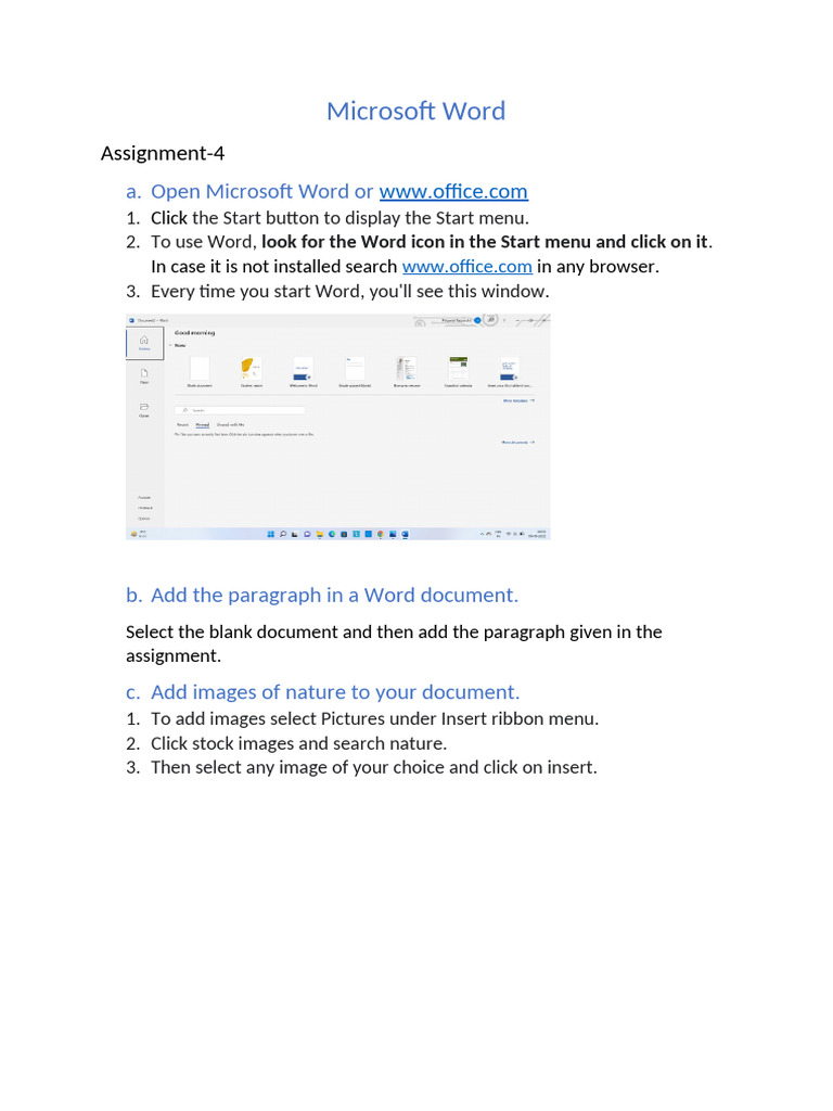 Microsoft Word Document Creation Guide | PDF
