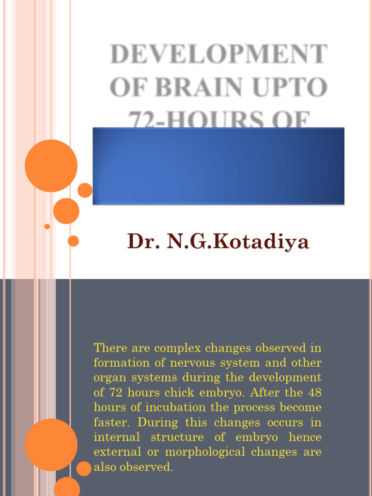 DR N G Kotadiya Chick Embryology | PDF | Anatomy | Neuroscience