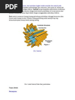 Kelompok 6 - Sentriol & Sentrosom | PDF