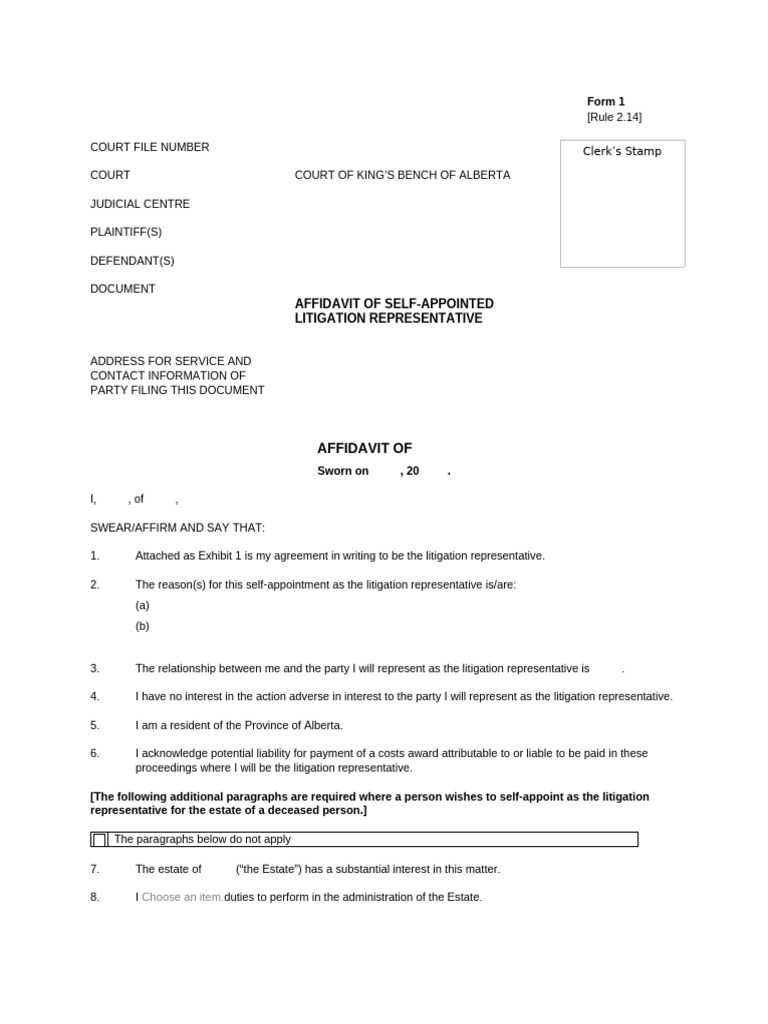 Affidavit for Self-Appointed Litigation Rep | PDF | Lawsuit | Affidavit