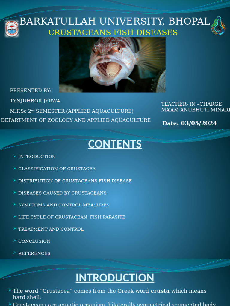 Tynjuhbor Jyrwa 2nd Sem Crustacean Fish Disease | PDF | Crustacean