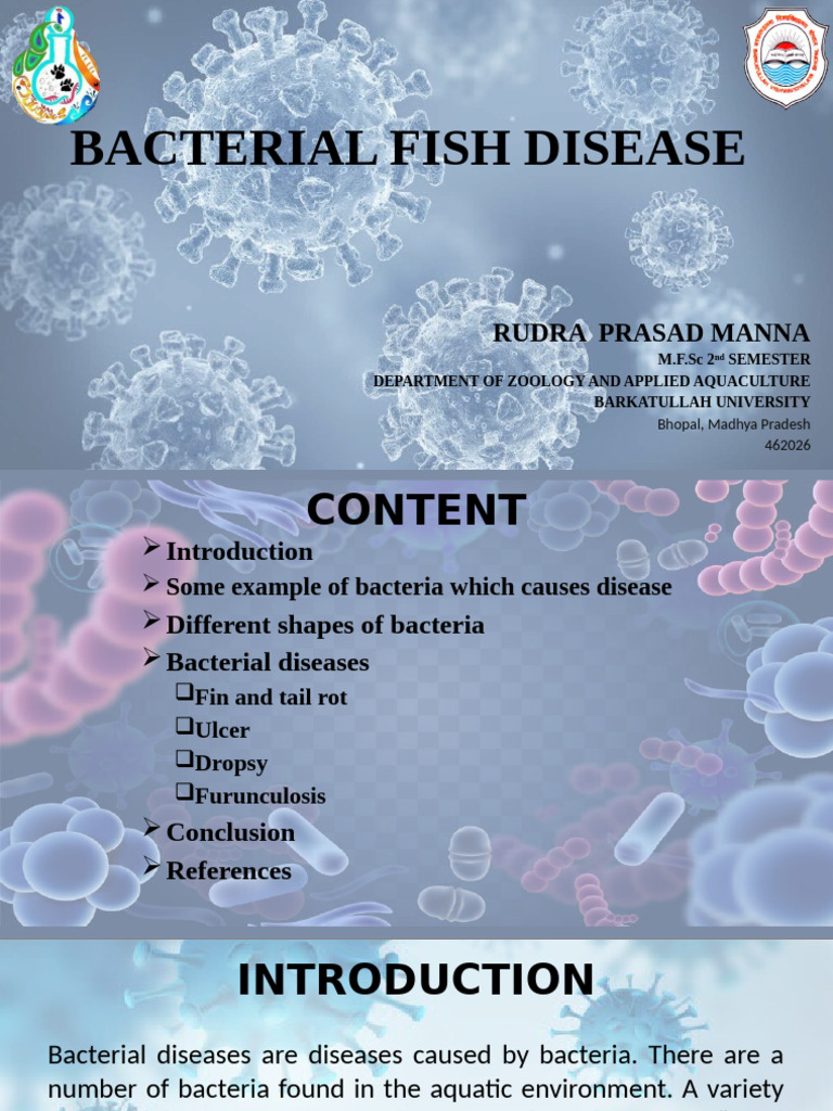 Rudra Bacterial Fish Disease,Sem 2 Seminar[1] | PDF | Bacteria | Infection