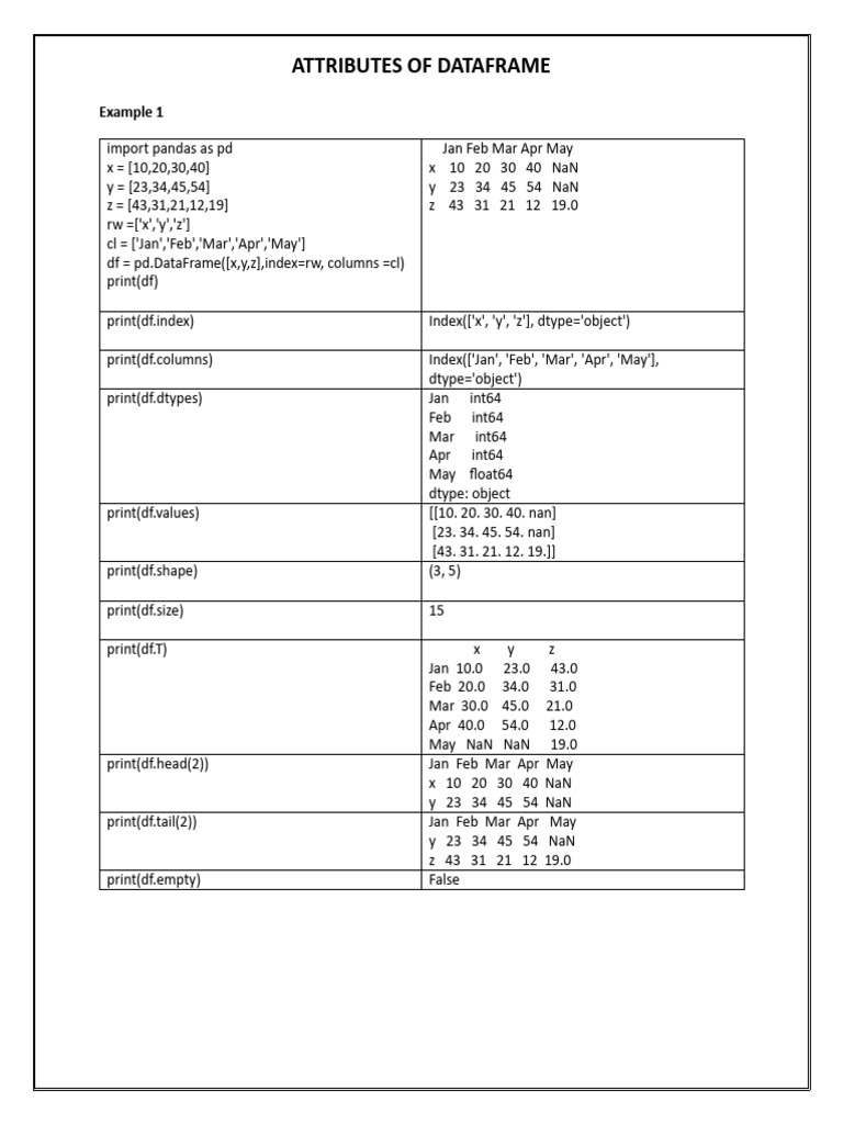 Attribute of Dataframe | PDF