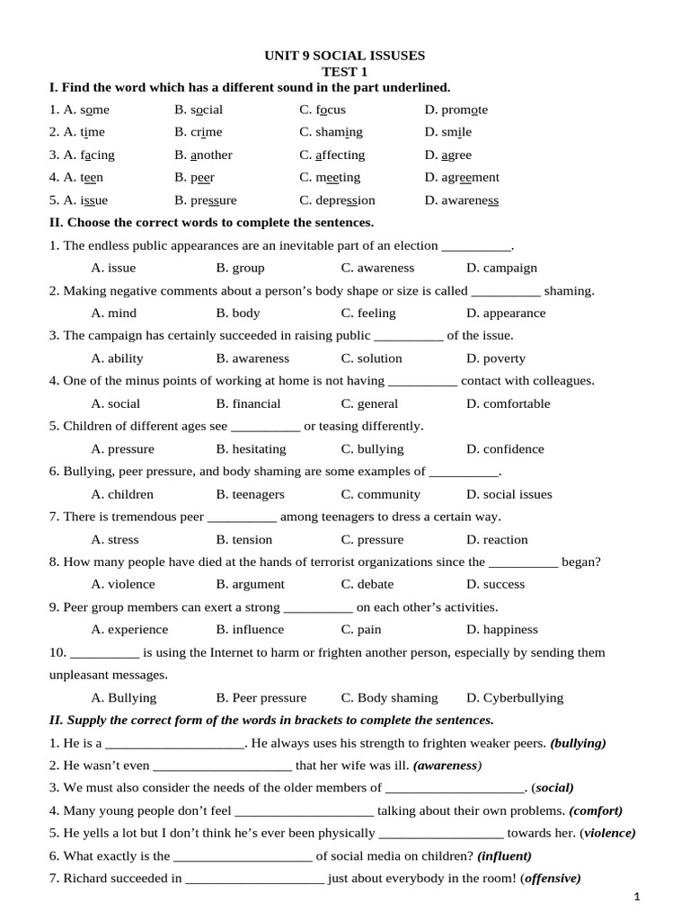 Unit 9 Social Issues Test Overview | PDF | Bullying | Cyberbullying