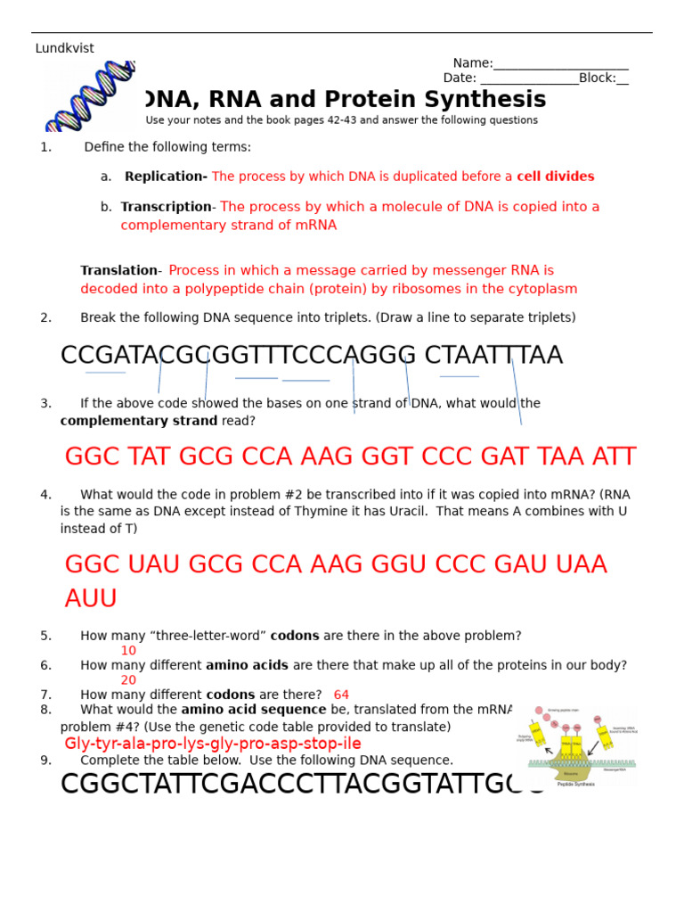 Biology Homework Worksheet | PDF | Genetic Code | Messenger Rna