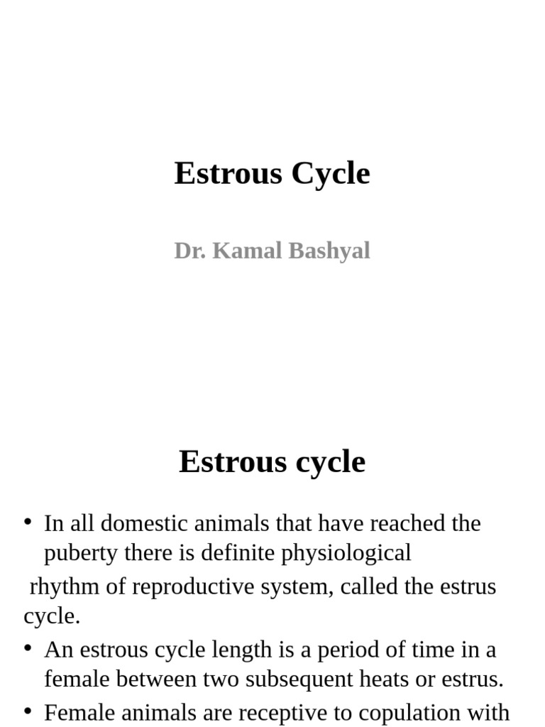 Anestrus | PDF | Menstrual Cycle | Ovary