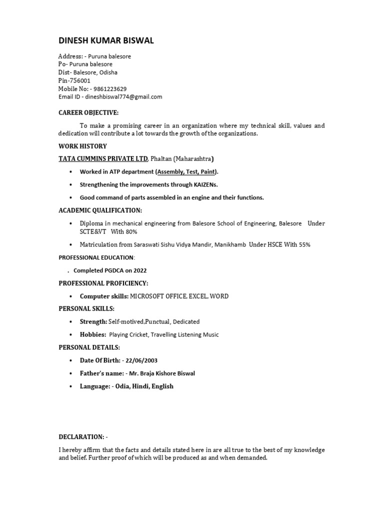 DINESH KUMAR Resume | PDF