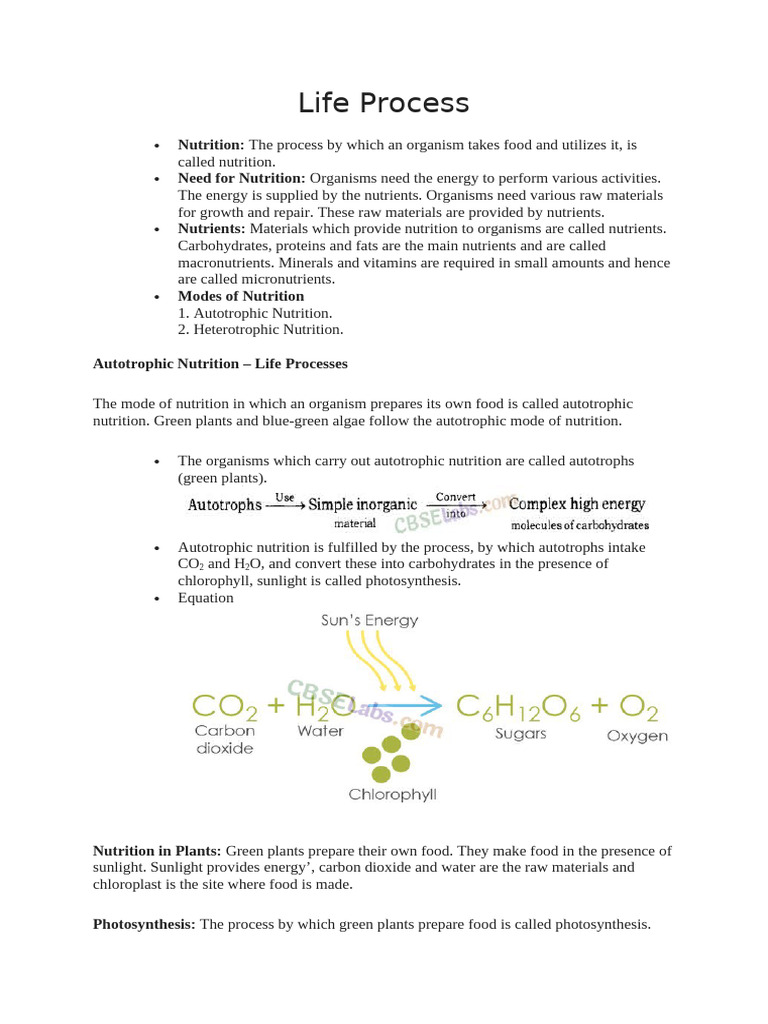 Life Process Grade 10 Biology | PDF | Digestion | Nutrition
