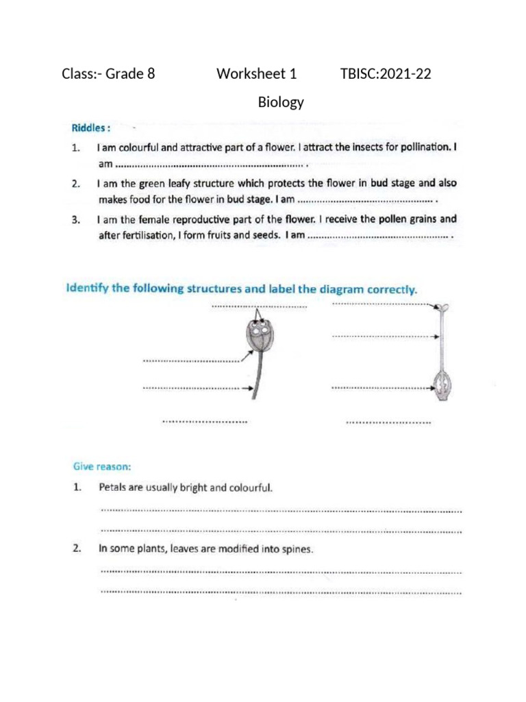 Grade 8 Biology Worksheet 1 | PDF