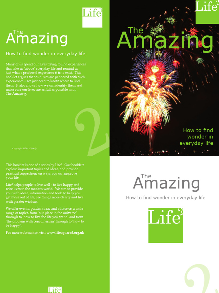 The Amazing - Life Squared | PDF | Experience | Religious Experience