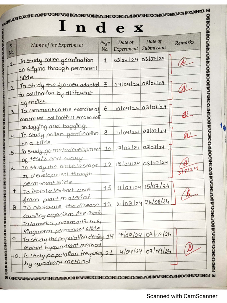 12 B Nandini Practical Record | PDF