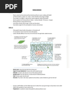 Cambridge Science 9 Workbook Answers | PDF | Ion | Chemical Bond