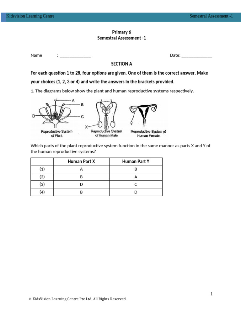 P6 SA1 Revision Paper 1_Students' copy | PDF | Potential Energy ...