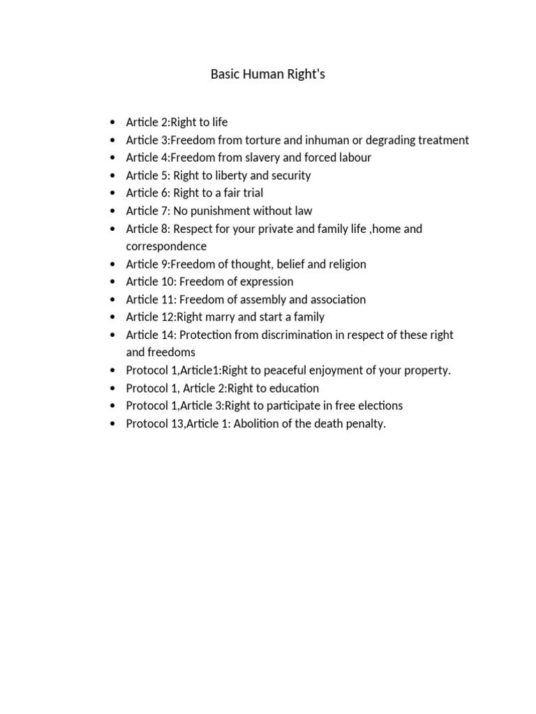 Basic Human Rig-WPS Office | PDF