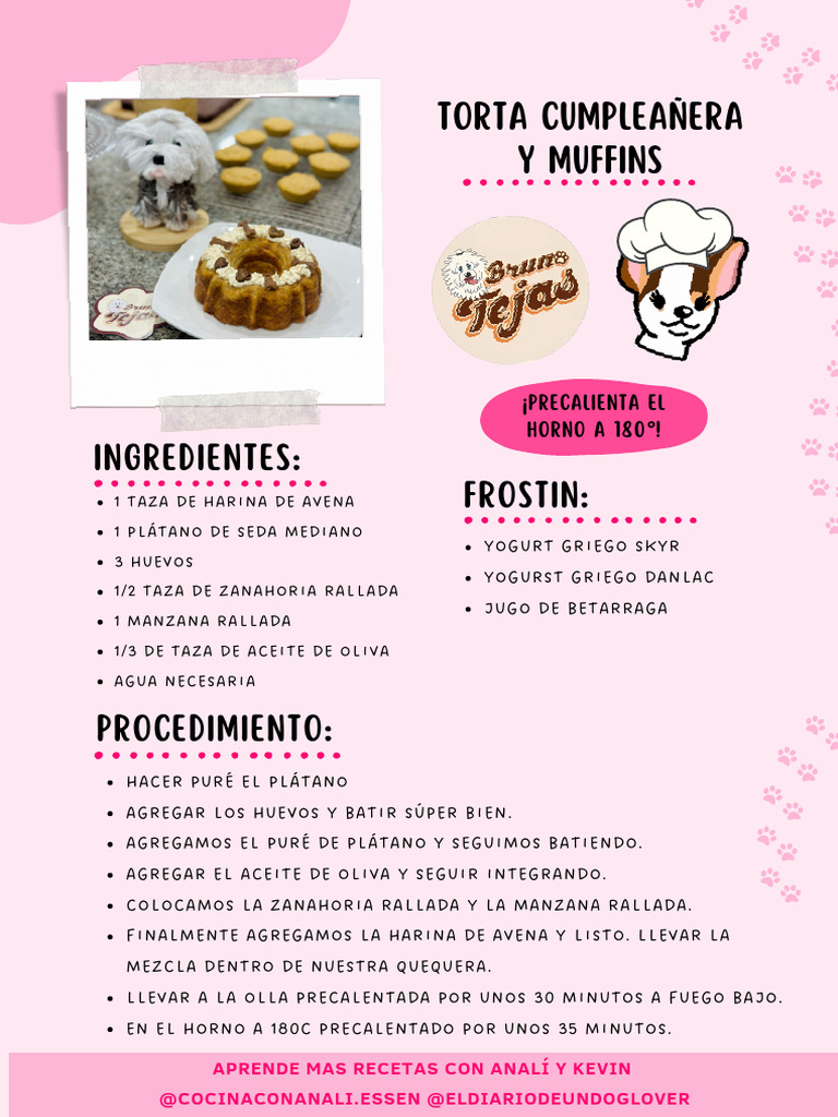 Receta para perritos | PDF