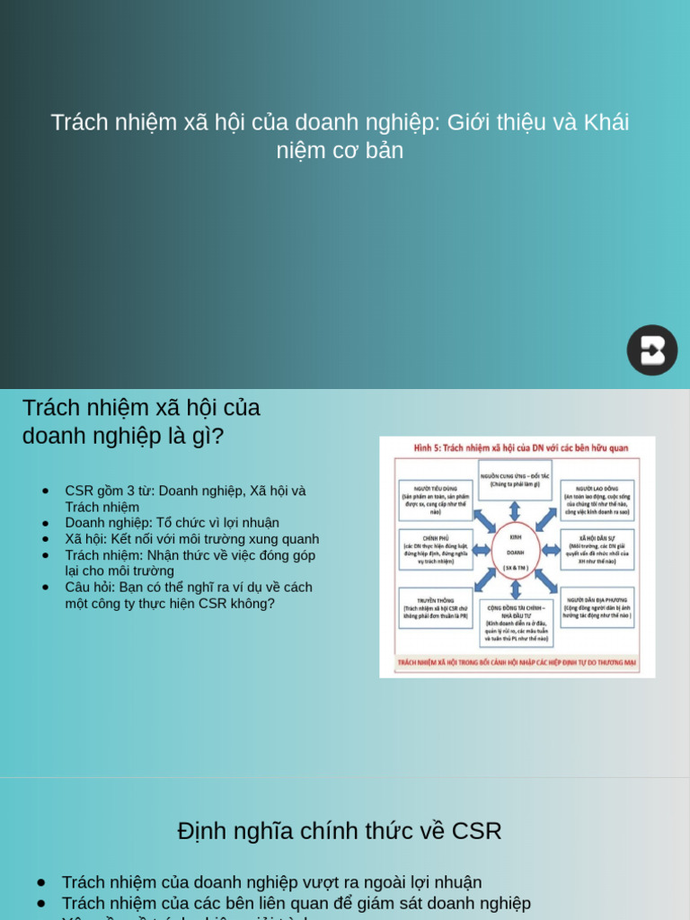 Gioithieu Về Csr Ấn Độ | PDF