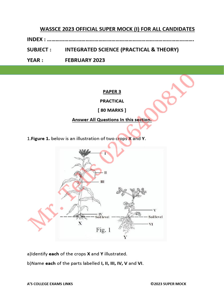 WASSCE 2023 Integrated Science Exam Guide | PDF | Sodium Hydroxide ...