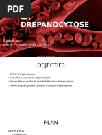 Le Globule Rouge | PDF | Globule rouge | Membrane cellulaire