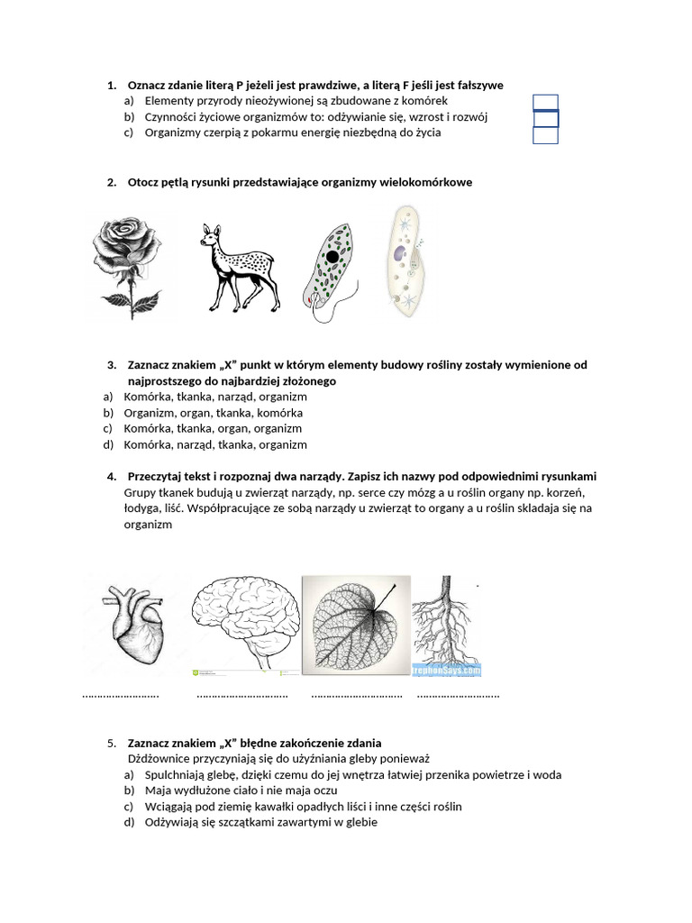 Przyroda Klasa 4 Rozdział 3 | PDF