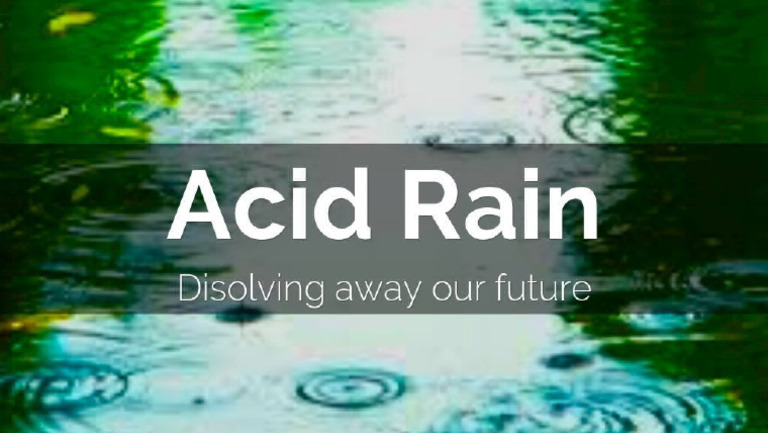 Acid Rain Project | PDF