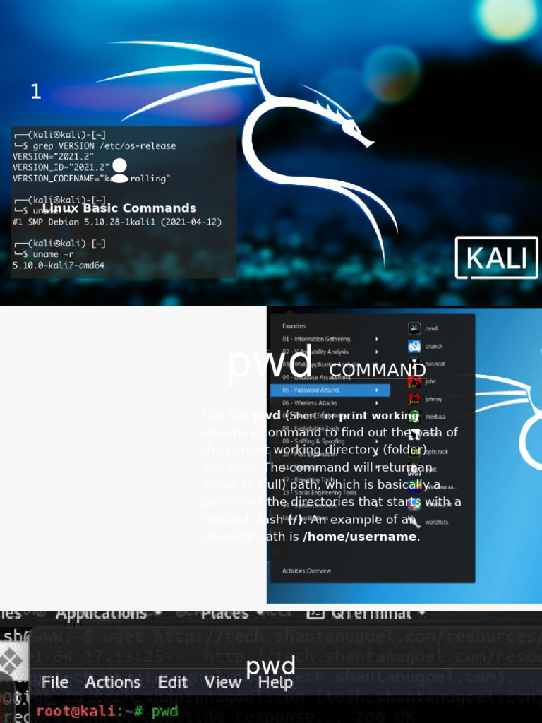 Basic Commands Part 1 | PDF