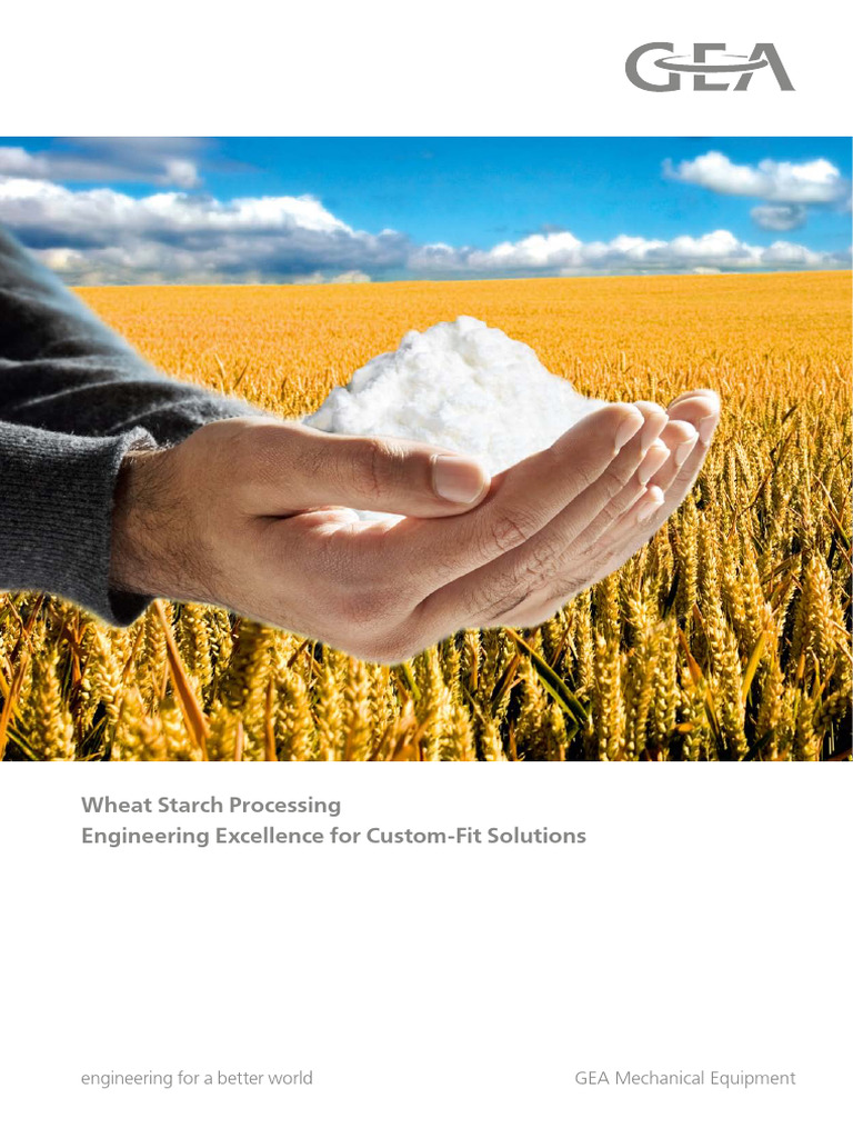 Bro Fo Wheat Starch Processing 2013 04 en 170241.cleaned | PDF | Gluten ...
