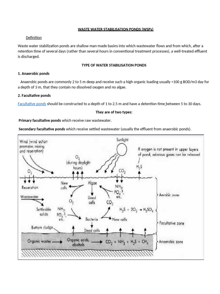 Waste Water Stabilisation Ponds 2 | PDF | Anaerobic Digestion | Systems Ecology
