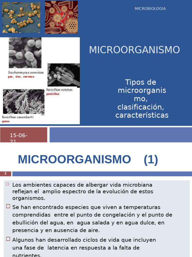 Microorganismos, Clasificacion y Formas | PDF | Microorganismo | Las ...