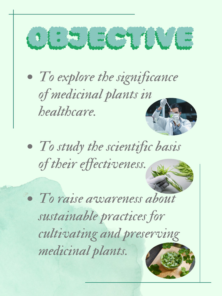 objective | PDF