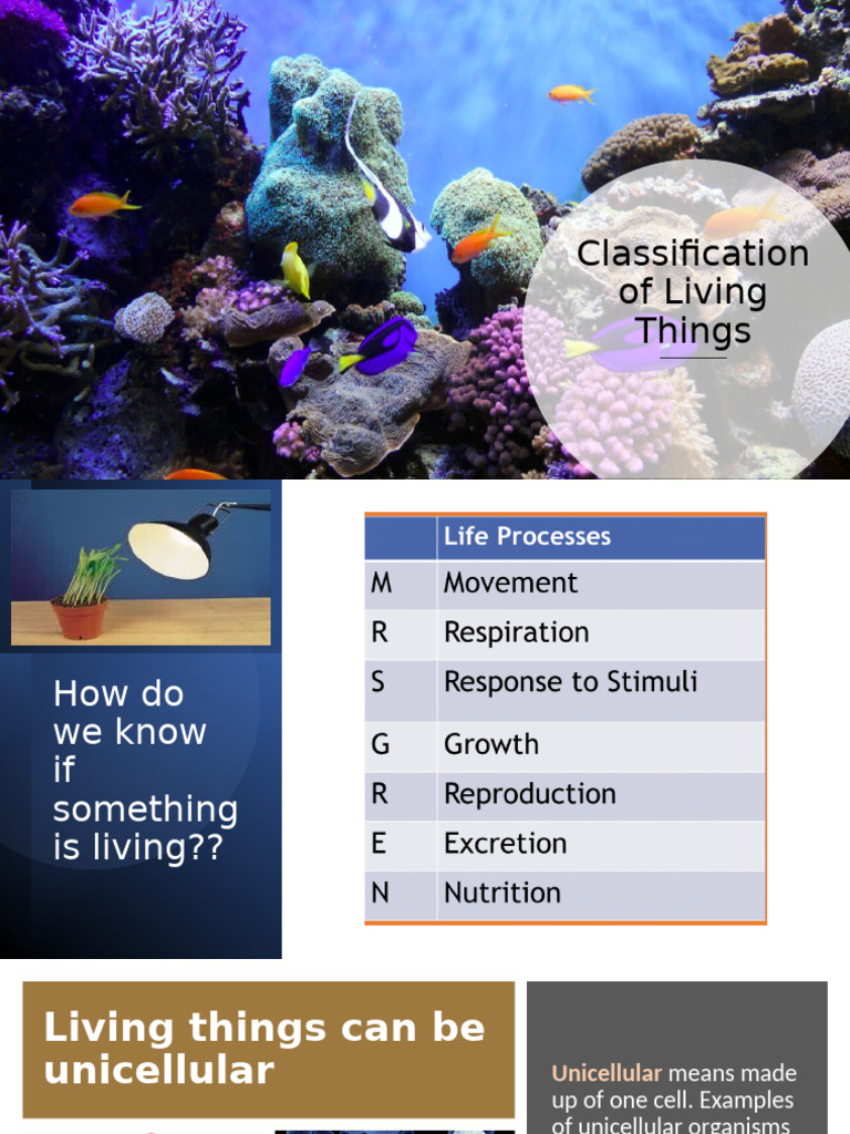 Classification of Living Organisms | PDF | Taxonomy (Biology) | Life