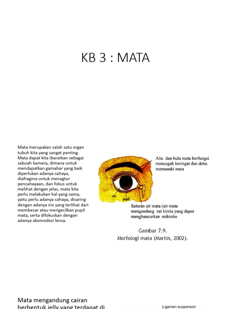 POWER POINT KB 3 PRAKTIK IPA | PDF