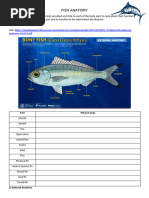 Fish Anatomy and Physiology Notes | PDF