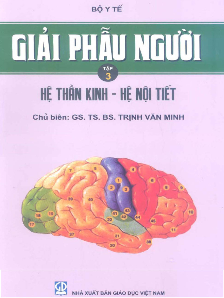 Tập 3- Giai Phau Nguoi, Trinh Van Minh | PDF