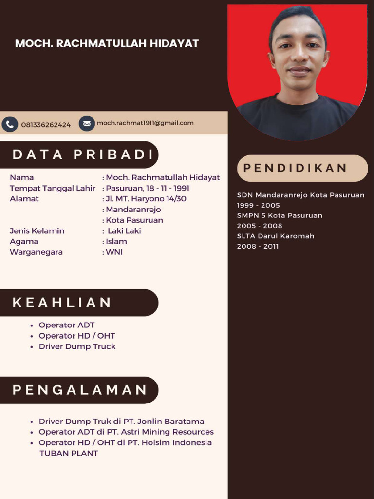 cv_compressed (1) | PDF