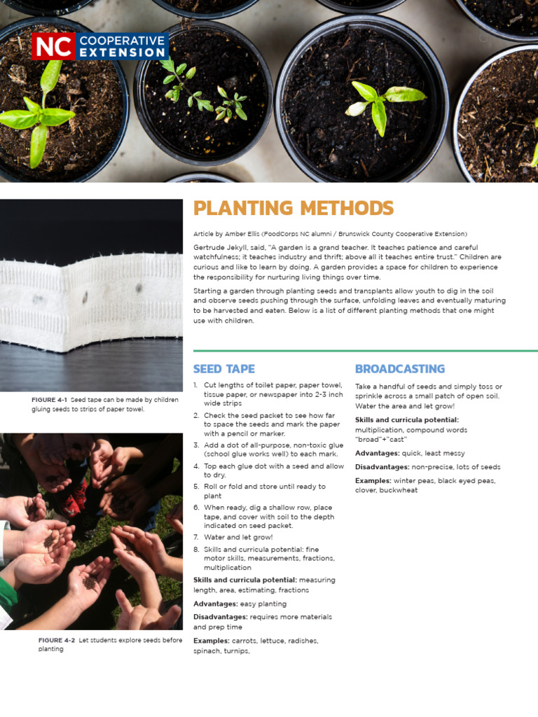 Planting-Methods | PDF | Seed | Plants