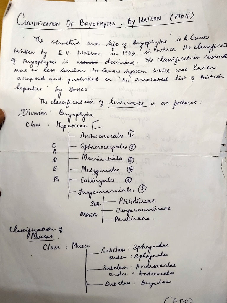 Classification of Bryophytes | PDF