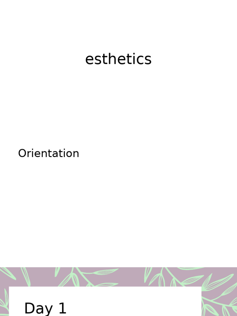 Esthetics | PDF
