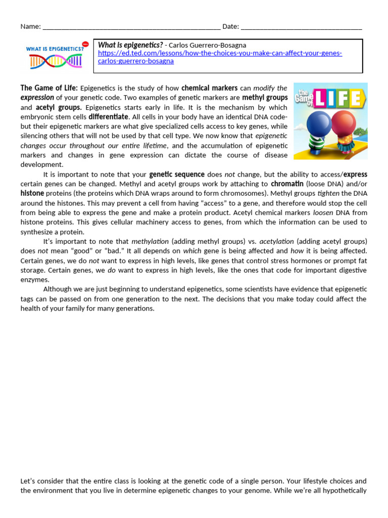 Epigenetics STUDENT SHEET | PDF | Epigenetics | Histone